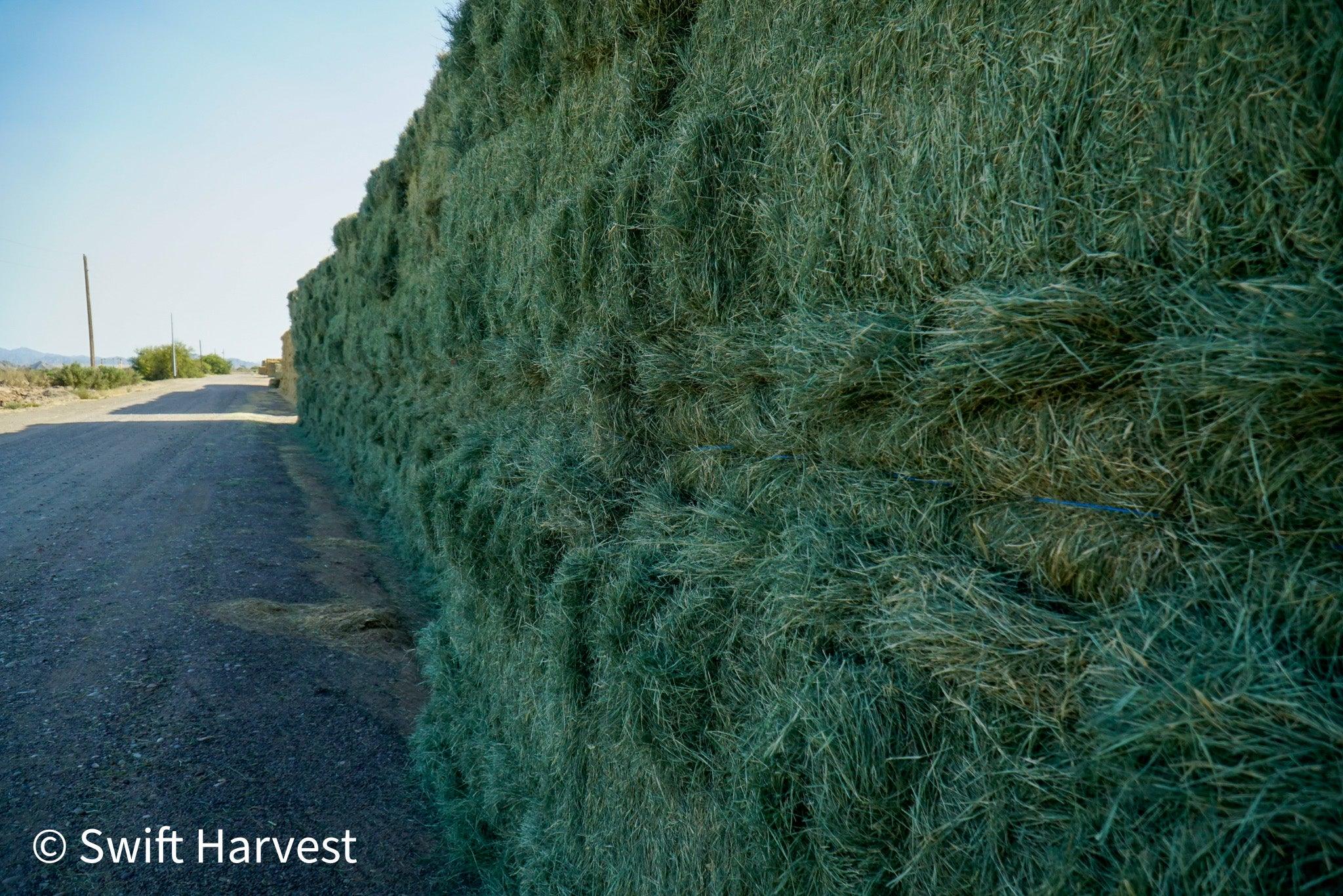 {{ collection.title }}#1 Retail Alfalfa Small Bales – swiftharvest.net