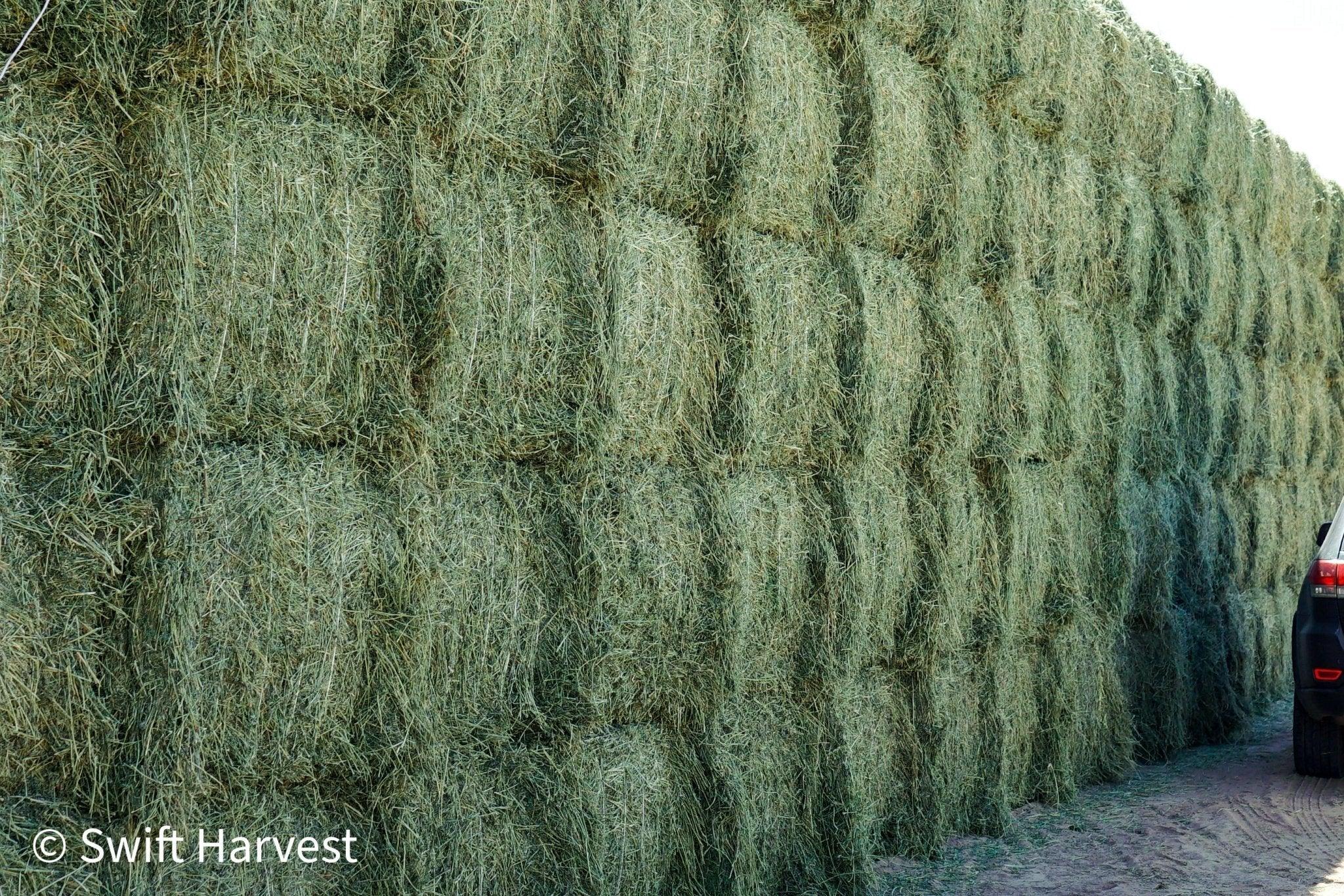 Good Alfalfa Test Hay – swiftharvest.net