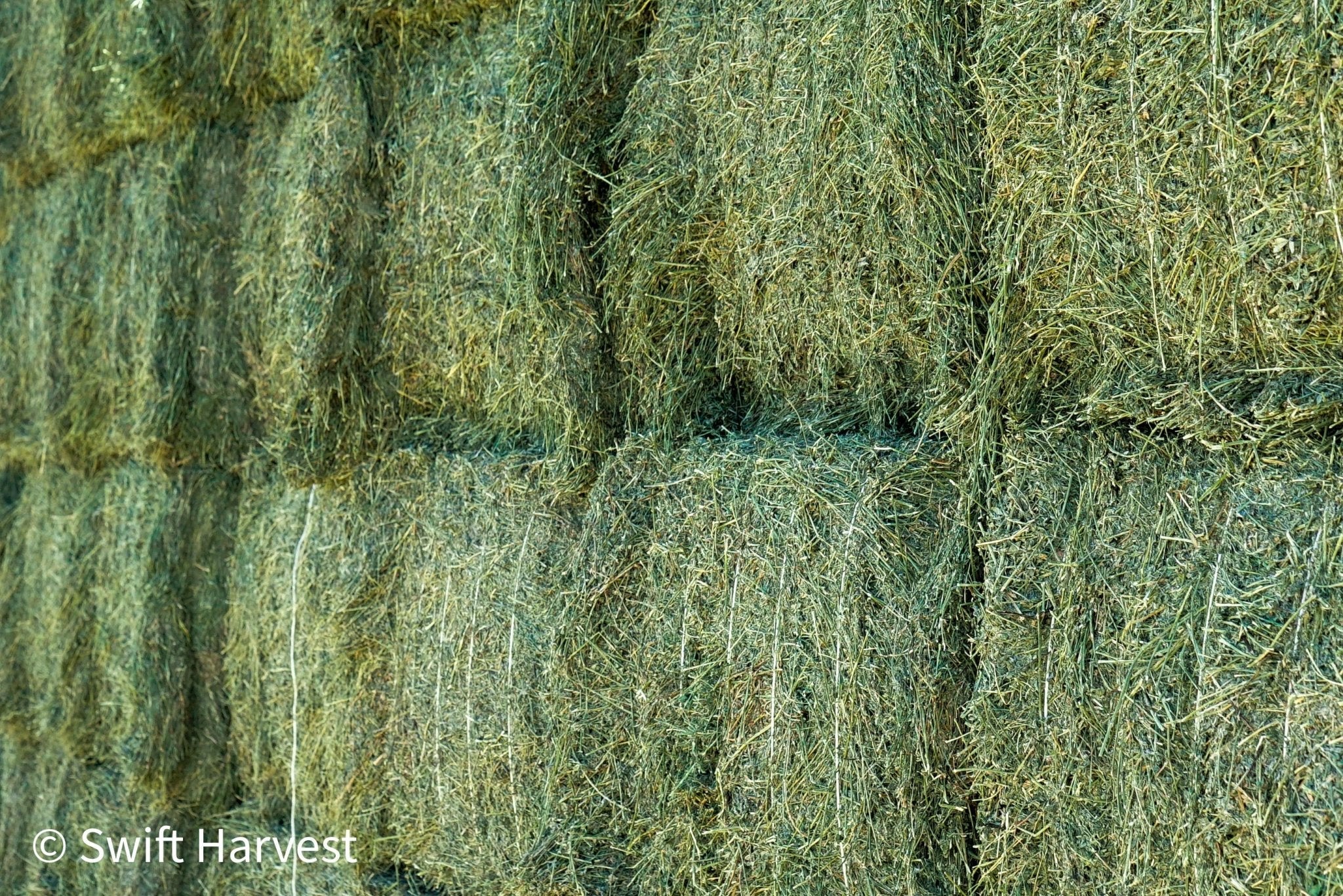 Premium Alfalfa Test Hay – swiftharvest.net
