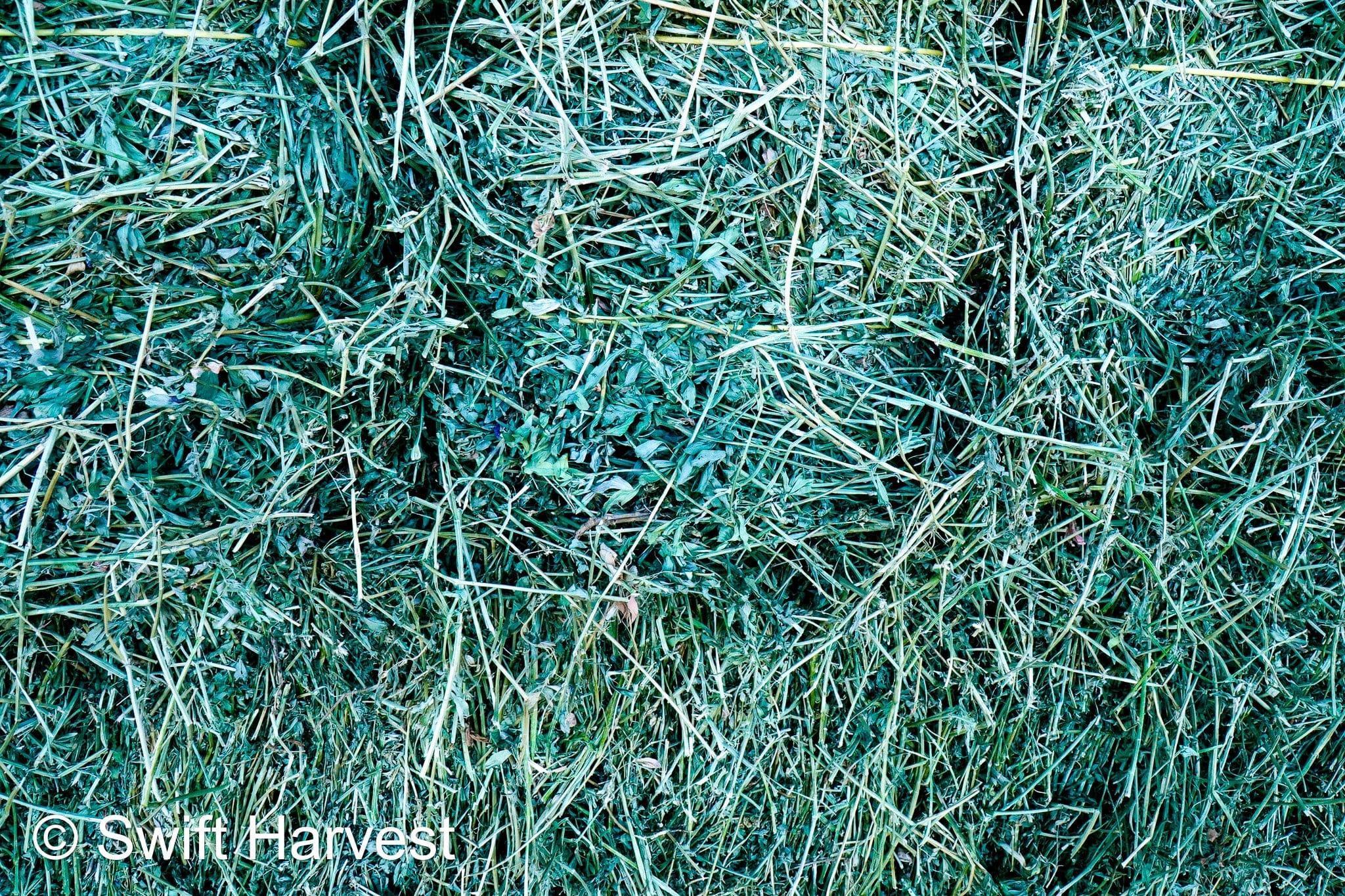 JFF-B2-7-24 #2 Retail Az. Alfalfa Bermuda Grass Mix 10-15% FACS 98/110 ...