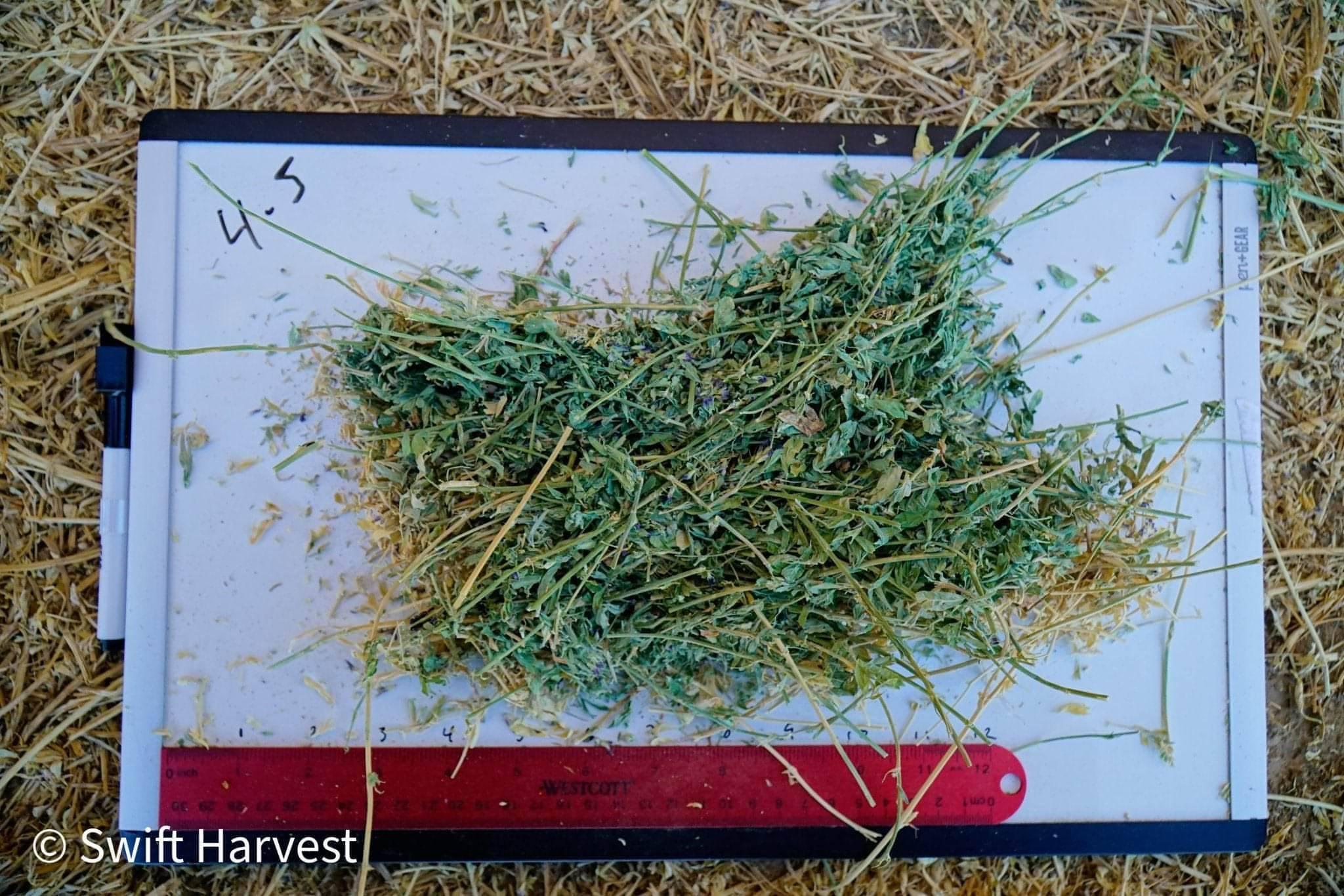 FACS Tier 1 Forage Appraisal Collection Service Package – swiftharvest.net